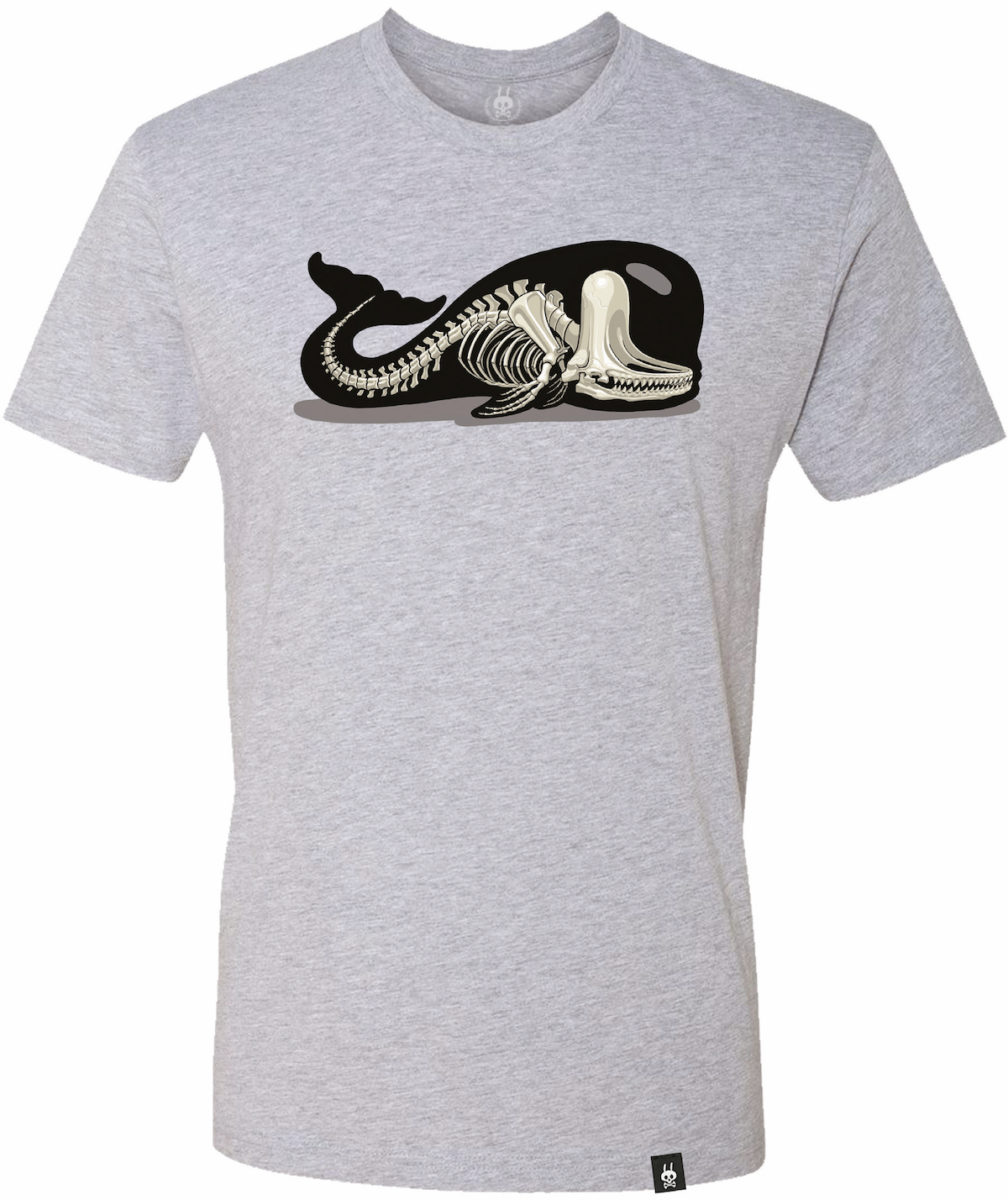 DISSECTION OF POPEYE - ANATOMY SHEET NO. 29 - Rabbit Eye Movement Inc.