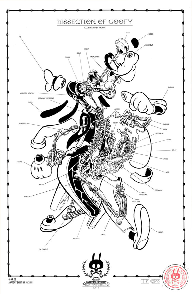 Dissection of Mickey Mouse (Anatomy Sheet) - Rabbit Eye Movement Inc.