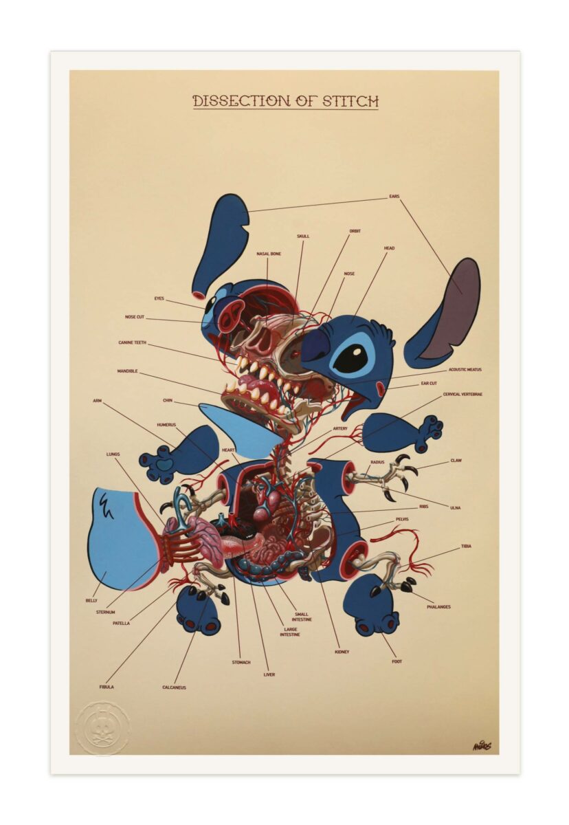 Prints Archives - Rabbit Eye Movement Inc.